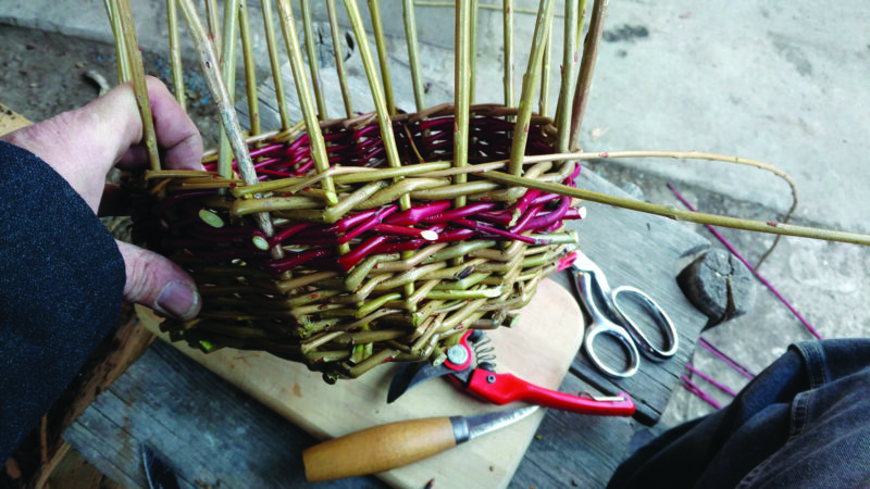 How to Weave a Basket for Beginners – Mother Earth News